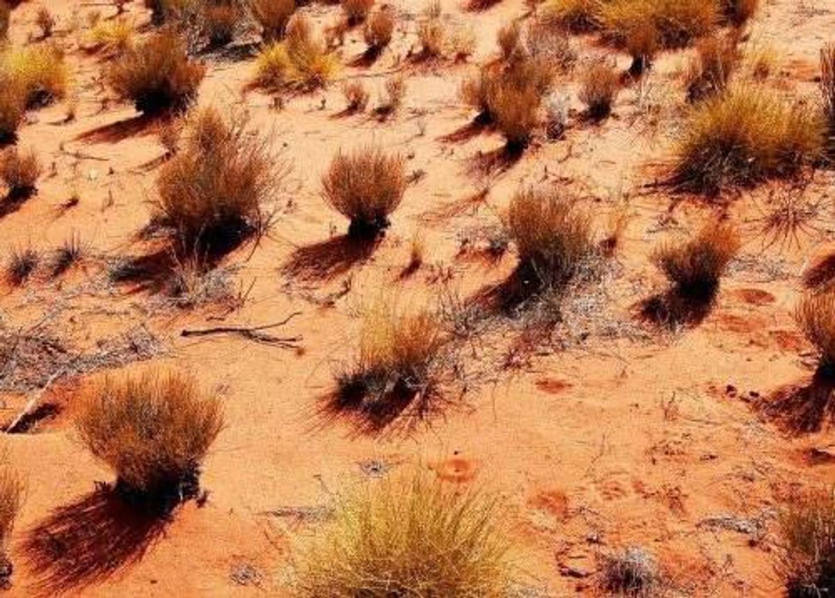 Nickel West’s Mount Keith Satellite Gets Environmental Boost | INN