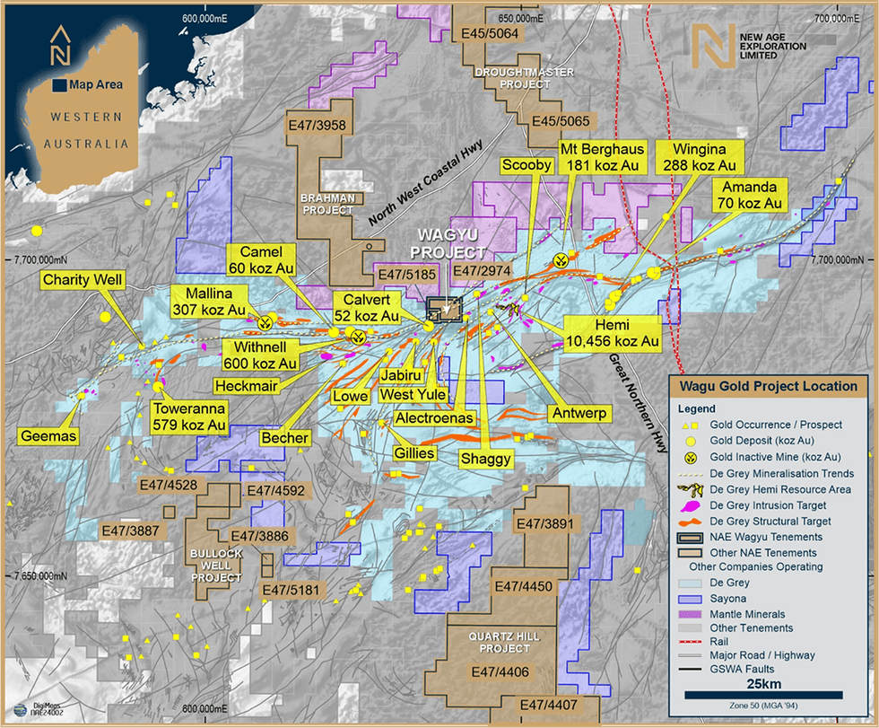 NAE New Gold System Emerging at Wagyu Pilbara WA | INN