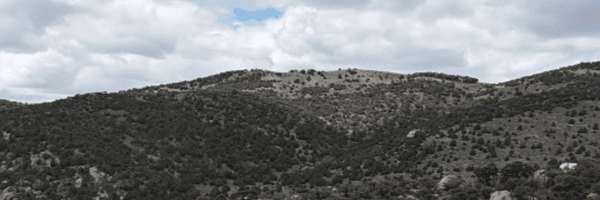 Latest Stock Market News & Analysis | INN