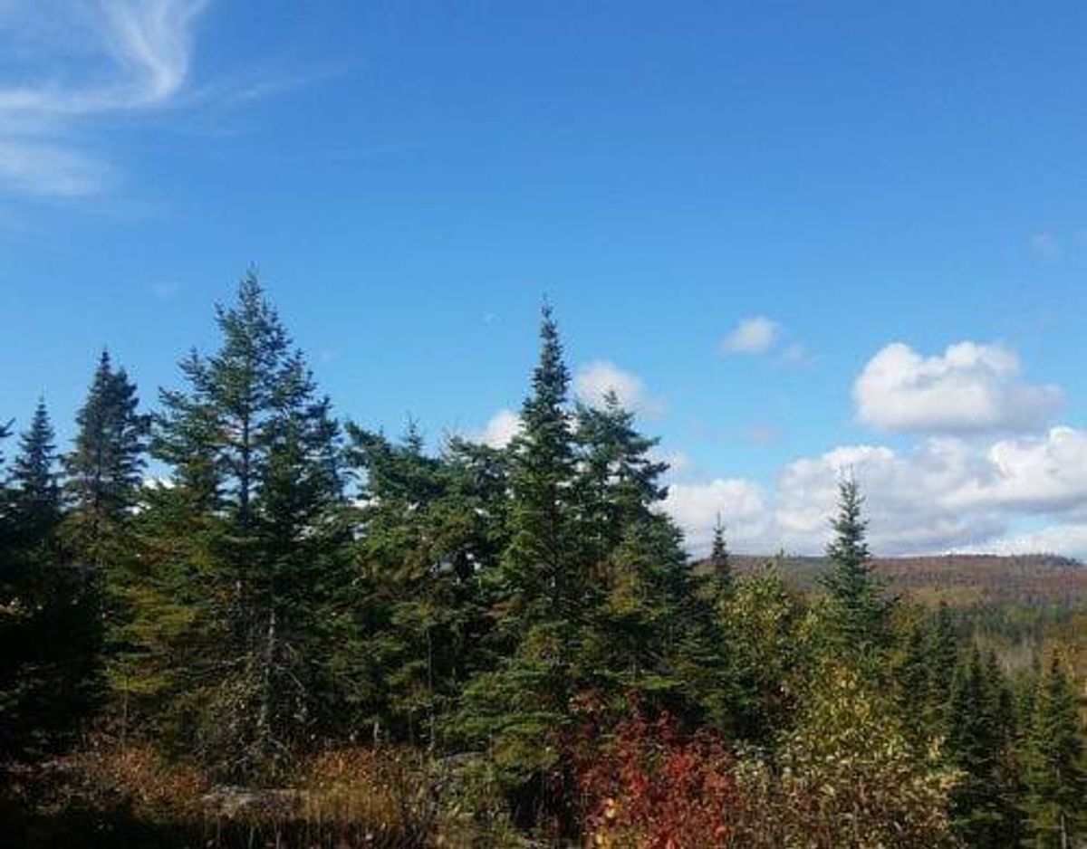 PolyMet Copper Project Gets Green Light from Minnesota | INN