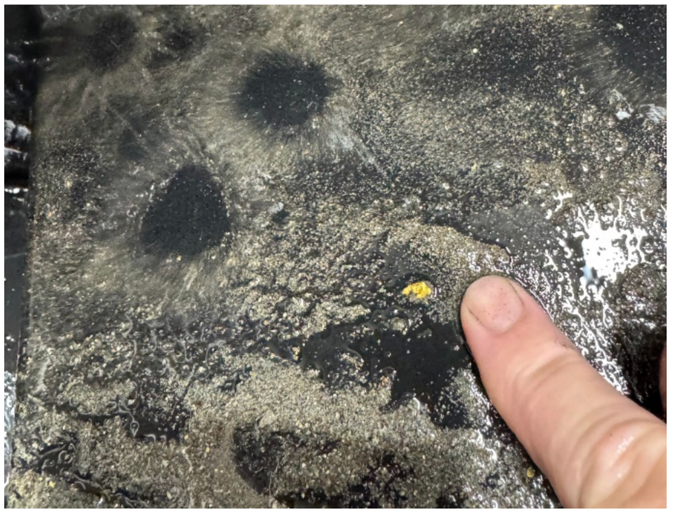 Vertex Power-up Gravity Gold Plant at Reward | INN